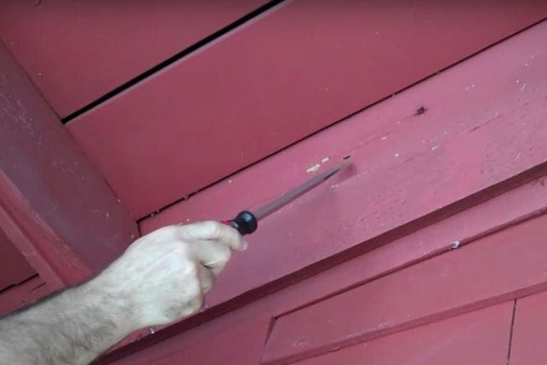 Formosan Termites Destroy This Tampa Home in Temple Terrace - Chet's ...