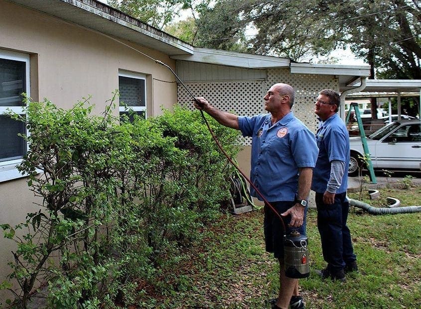 Tampa Pest Control, Termite Tenting & Treatment. Guaranteed